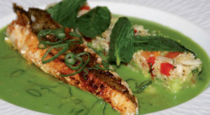 Filet de Saint Pierre rôti sur un velouté de petits pois à la menthe et ...