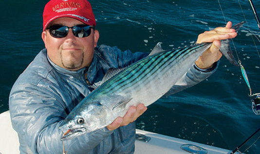 L’ultra light jigging : une technique de pêche incontournable ! - Côt&Pêche