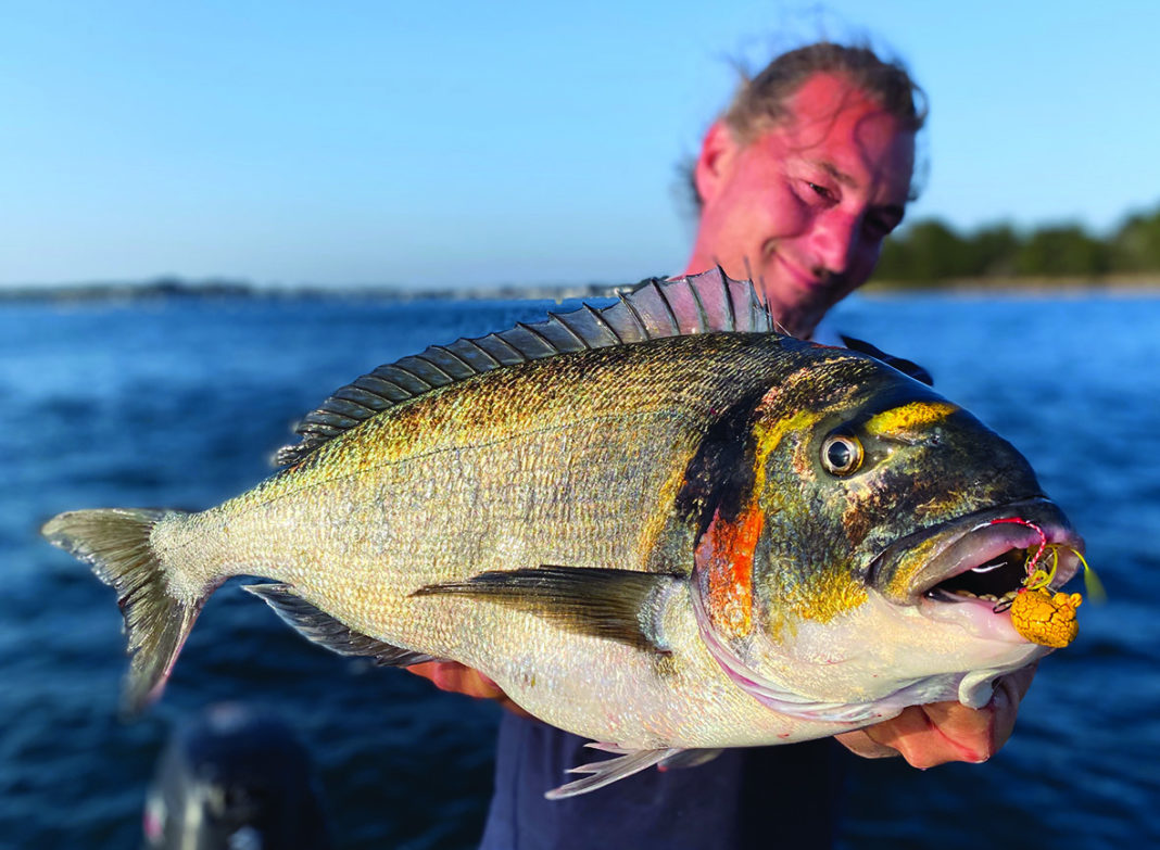 Pêche au tenya en estuaire, une session royale - Côt&Pêche